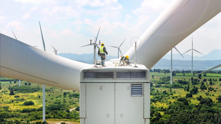 Harnessing the wind: AI-driven innovations in wind-farm layout ...